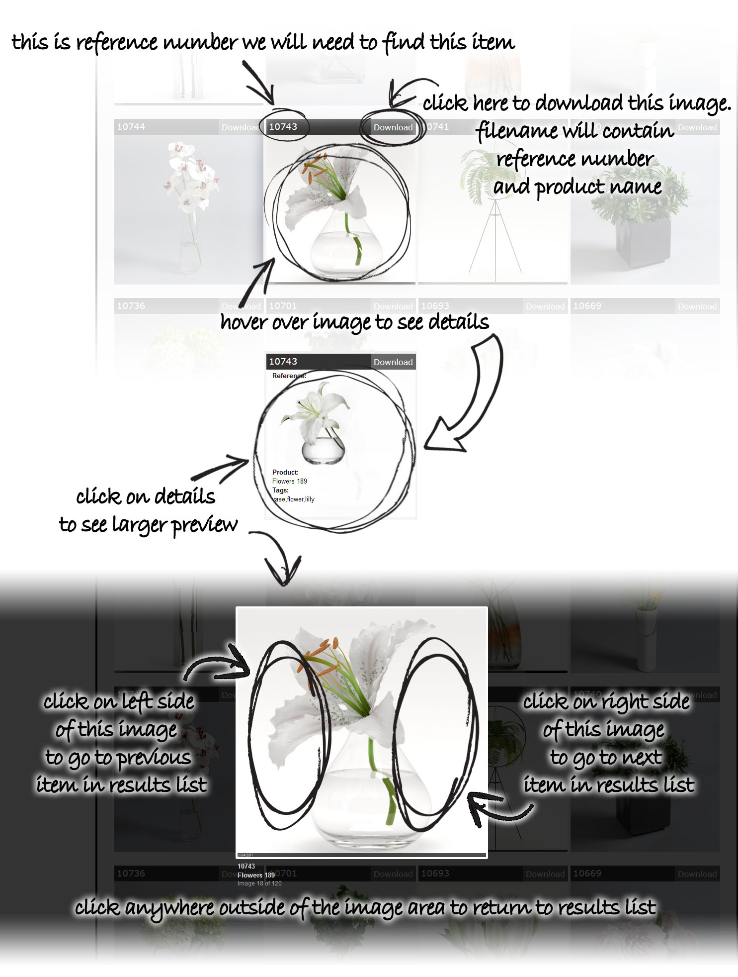 V1 Model Library - How to...